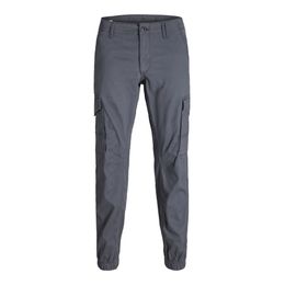 Jack & Jones JACK & JONES Cargo Pants 'JJIPaul JJFlake' male size 29 Anthracite