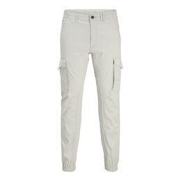 Jack & Jones JACK & JONES Cargo Pants 'JJIPAUL JJFLAKE' male size 38 Light grey