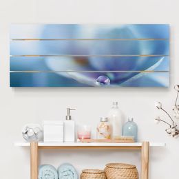 Bilderwelten Holzbild Blumen blau Motiv nat&uuml;rlicher Effekt - Wassertropfen Hortensienbl&uuml;te - Deko Wohnzimmer Schlafzimmer