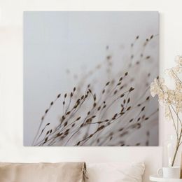 Bilderwelten Akustikbild Zarte Gr&auml;ser im Windschatten
