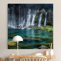 Bilderwelten Akustikbild Shiraito Wasserfall