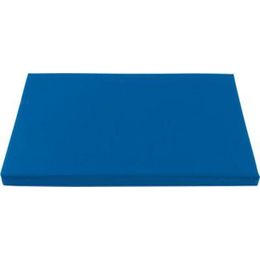Sch&auml;fer Shop Sch&auml;fer Shop Pure Sitzkissen f&uuml;r Auflagedeckel und Scharnierdeckel Serie Economy 600 x 400 mm, Schaumstoff, blau