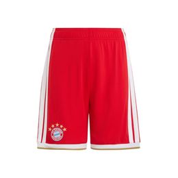 adidas Performance Workout Pants 'FC Bayern M&uuml;nchen Home 26/27' boy size 140 Camel / Red / White