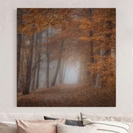 Bilderwelten Akustikbild Weg im m&auml;rchenhaften Herbstwald