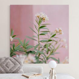 Bilderwelten Akustikbild Sanfte Bl&uuml;ten vor Pink