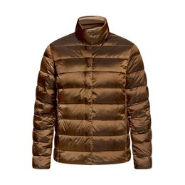 Betty Barclay Damen Steppjacke "Damen mit Stehkragen", braun, Gr. 36, Obermaterial: 100% Polyamid. F&uuml;llung: 90% Daunen, 10% Federn, Jacken