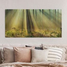 Bilderwelten Akustikbild Sonnenstrahlen im Nebelwald