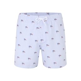 Hollister Boxer shorts male size L Blue / Light blue / Red / White