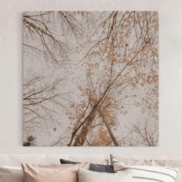 Bilderwelten Akustikbild Herbstliche Baumkronen