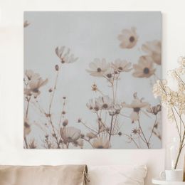Bilderwelten Akustikbild Cosmea im Sommer