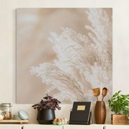 Bilderwelten Akustikbild Zartes Pampasgras im Sonnenlicht