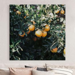 Bilderwelten Akustikbild Italienische Orangen