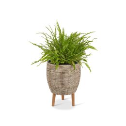 Tchibo - Blumentopf mit F&uuml;&szlig;en - beige
