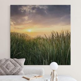 Bilderwelten Akustikbild Langeoog Graslandschaft bei Sonnenuntergang