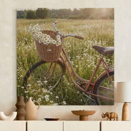 Bilderwelten Akustikbild Fahrrad im Margeritenfeld