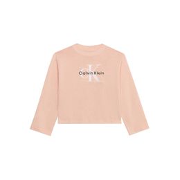Calvin Klein Jeans Pullover M&auml;dchen Gr&ouml;&szlig;e 170/176 puder / schwarz / wei&szlig;