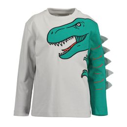 Blue Seven Jungen Langarmshirt, wei&szlig;, Gr. 104, Single Jersey, Obermaterial: 100% Baumwolle, Shirts, mit au&szlig;ergew&ouml;hnlichem, hochwertigen Dino-Motiv