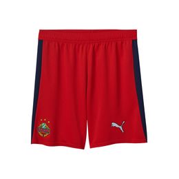 Puma Workout Pants 'SK Rapid Wien 2025/2026' female size 4XL marine blue / Light green / Red / White