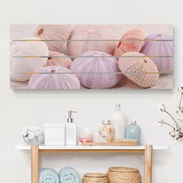 Bilderwelten Holzbild Tiere pastell Motiv nat&uuml;rlicher Effekt - Seeigel in Pastell - Deko Wohnzimmer Schlafzimmer