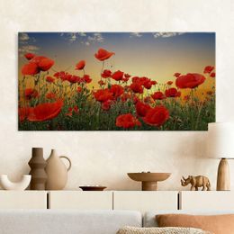 Bilderwelten Akustikbild Mohnblumenfeld im Sonnenuntergang