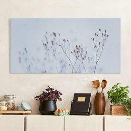 Bilderwelten Akustikbild Zartblaue Wildblumen
