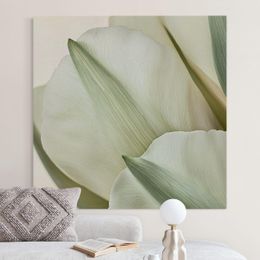 Bilderwelten Akustikbild Zarte Tulpenbl&uuml;ten Gr&uuml;n