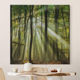 Bilderwelten Akustikbild Sonnentag im Wald