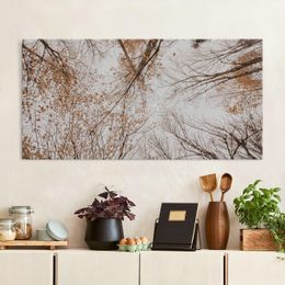Bilderwelten Akustikbild Baumkronen im Herbst
