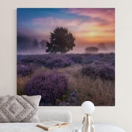 Bilderwelten Akustikbild Bunter Sonnenaufgang im Lavendelfeld
