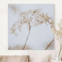 Bilderwelten Akustikbild Zarte hellgelbe Trockenblume