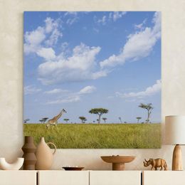 Bilderwelten Akustikbild Kenia Giraffe in Savannenlandschaft