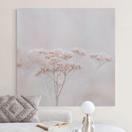 Bilderwelten Akustikbild Zartrosane Wildblumen