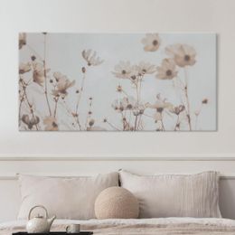 Bilderwelten Akustikbild Cosmea im Sommer