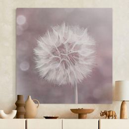 Bilderwelten Akustikbild Pusteblume Bokeh rosa