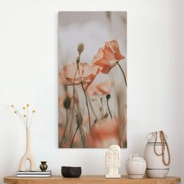 Bilderwelten Akustikbild Mohnbl&uuml;ten im Sommerwind