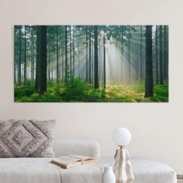 Bilderwelten Akustikbild Enlightened Forest