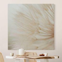 Bilderwelten Akustikbild Weiche Pusteblume