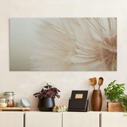 Bilderwelten Akustikbild Weiche Pusteblume