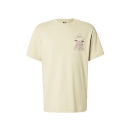 The North Face T-Shirt 'MOUNTAIN PLAY' Herren Gr&ouml;&szlig;e S pastellgr&uuml;n / mauve