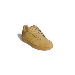 adidas Sportswear Sneaker 'HOOPS CLASSIС' Jungen Gr&ouml;&szlig;e 36.5/37 camel / senf