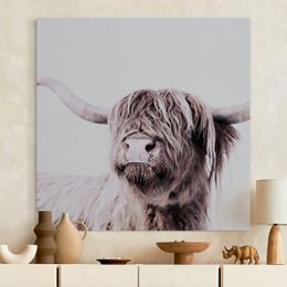 Bilderwelten Akustikbild Hochlandrind Frida in Beige