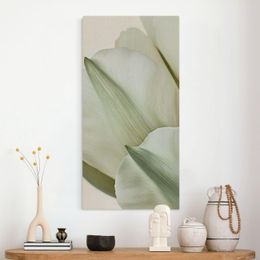 Bilderwelten Akustikbild Zarte Tulpenbl&uuml;ten Gr&uuml;n