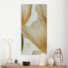 Bilderwelten Akustikbild Zarte Tulpenbl&uuml;ten Creme