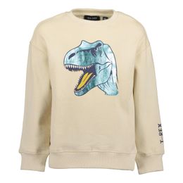 Blue Seven Jungen Sweater "Sweatshirt", beige, Gr. 104, 100% Baumwolle, Sweatshirts