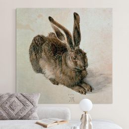 Bilderwelten Akustikbild | Wandbild schallabsorbierend - Albrecht D&uuml;rer - Junger Feldhase