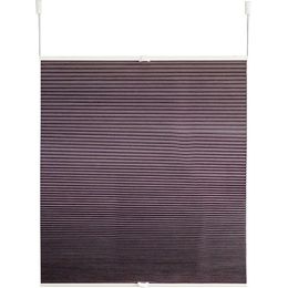 Wabenplissee Kutti, B:80cm H:140cm, grau, Obermaterial: 100% Polyester, Plissees, "Blake", Thermo, energiesparend, beschichtet, abdunkelnd, isolierend