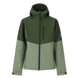 WHISTLER Jungen Softshelljacke "Rodney V2", gr&uuml;n, Gr. 140, mehrfarbig, unifarben, 100% Polyester, Jacken, Bionic Finish