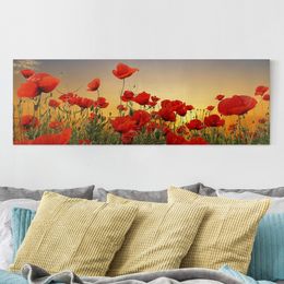 Bilderwelten Leinwandbild Mohnblumenfeld im Sonnenuntergang - Wandbild bis XXL Print Blumen Floral Wohnzimmer Schlafzimmer Bad Badezimmer K&uuml;che Flur Esszimmer Rot