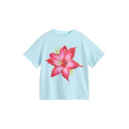 next Shirt girl size 164 Sky blue / Pastel green / Fuchsia / Orange red