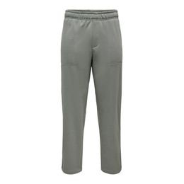 Only & Sons Only & Sons Pants 'ONSConnor' male size 30/31 Grey